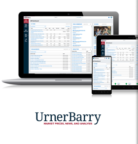 User Experience Design Portfolio & Case Studies | UX Team™